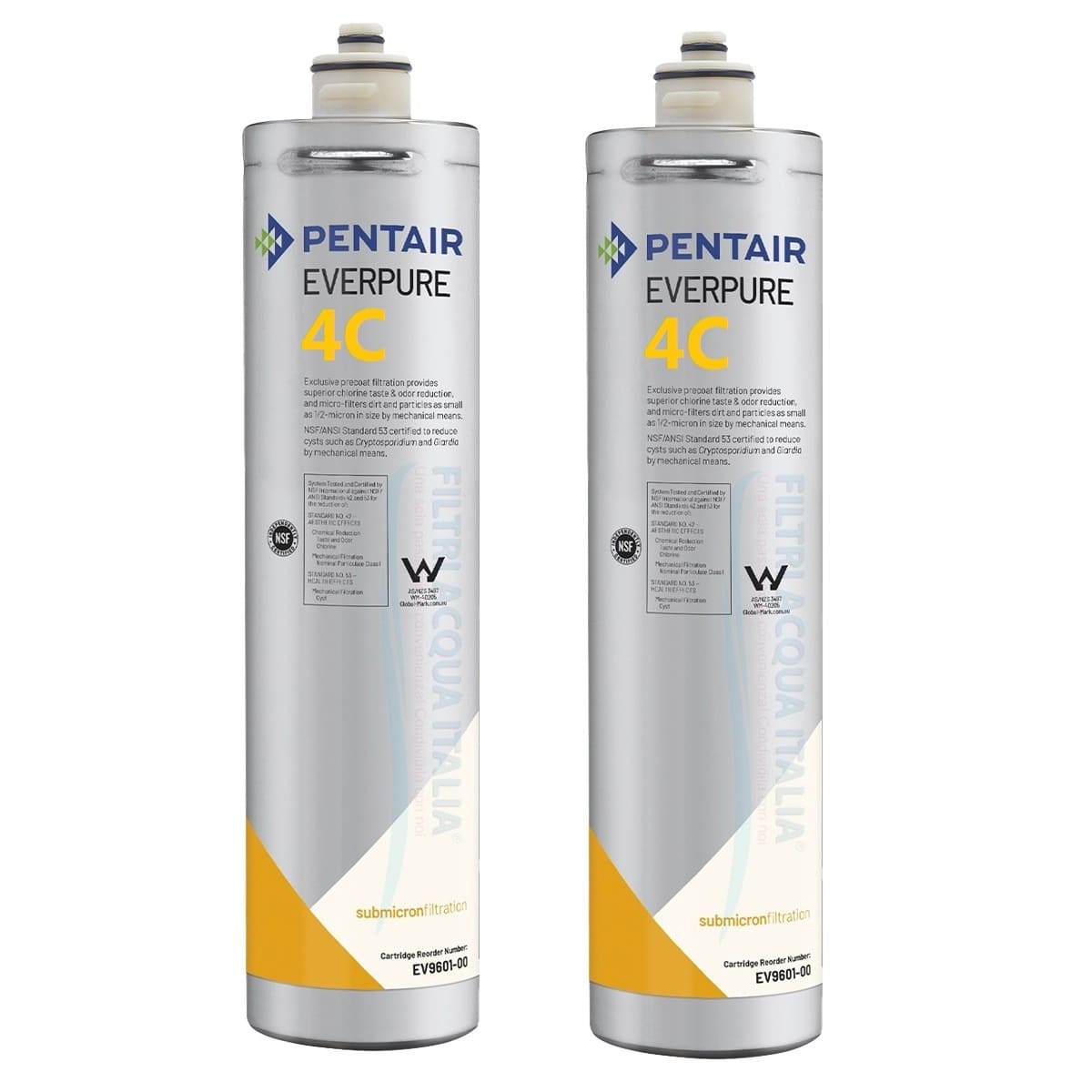 Filtri Everpure 4C, AC, 4DC, 2DC e S100 | Filtri Acqua Italia